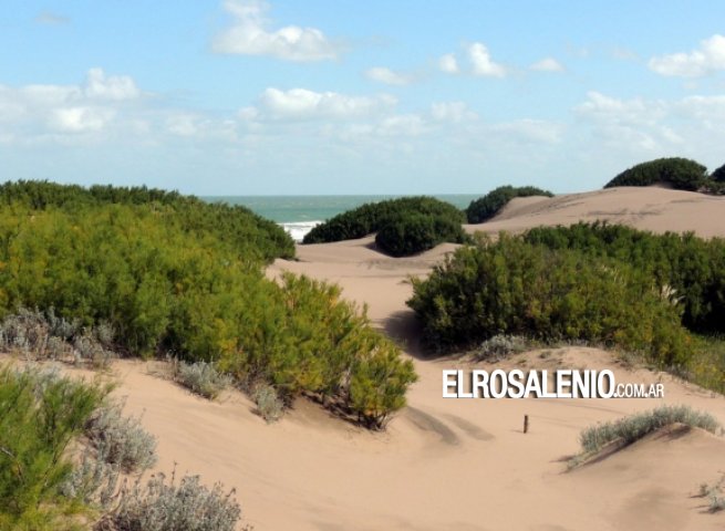 “Los guardavidas corrieron más de 500 metros por los médanos para ...
